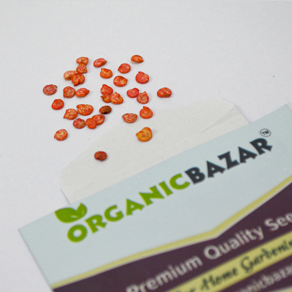 Buy Best Quality Chilli Pepper Achari F-1 Hybrid Seeds