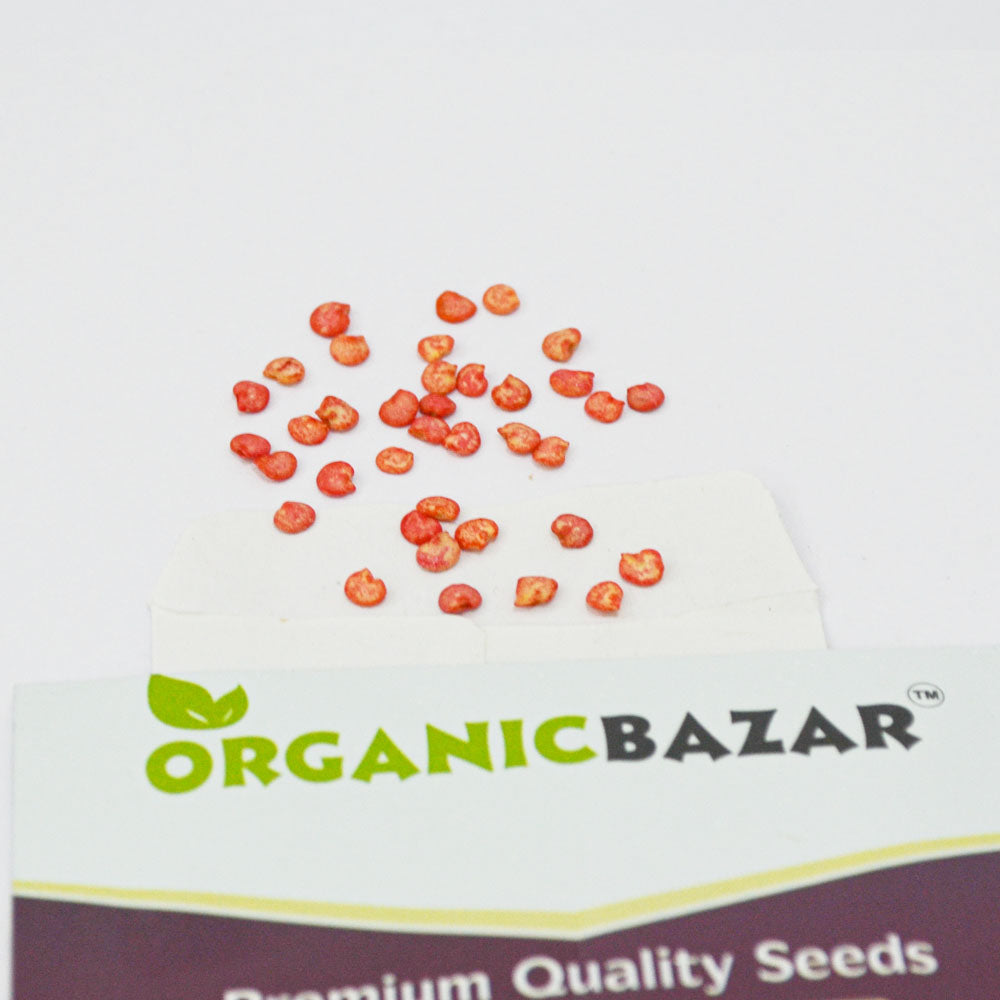 Buy Best Quality Chilli-Pepper Jalapeno M-Bullet Type Seeds