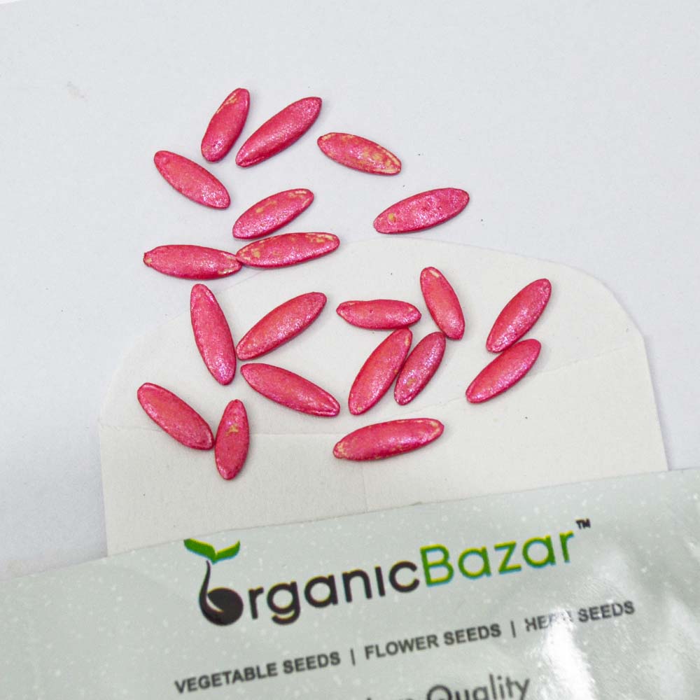 Buy Best Quality Cucumber Light Green F1 Hybrid Seeds - Organicbazar
