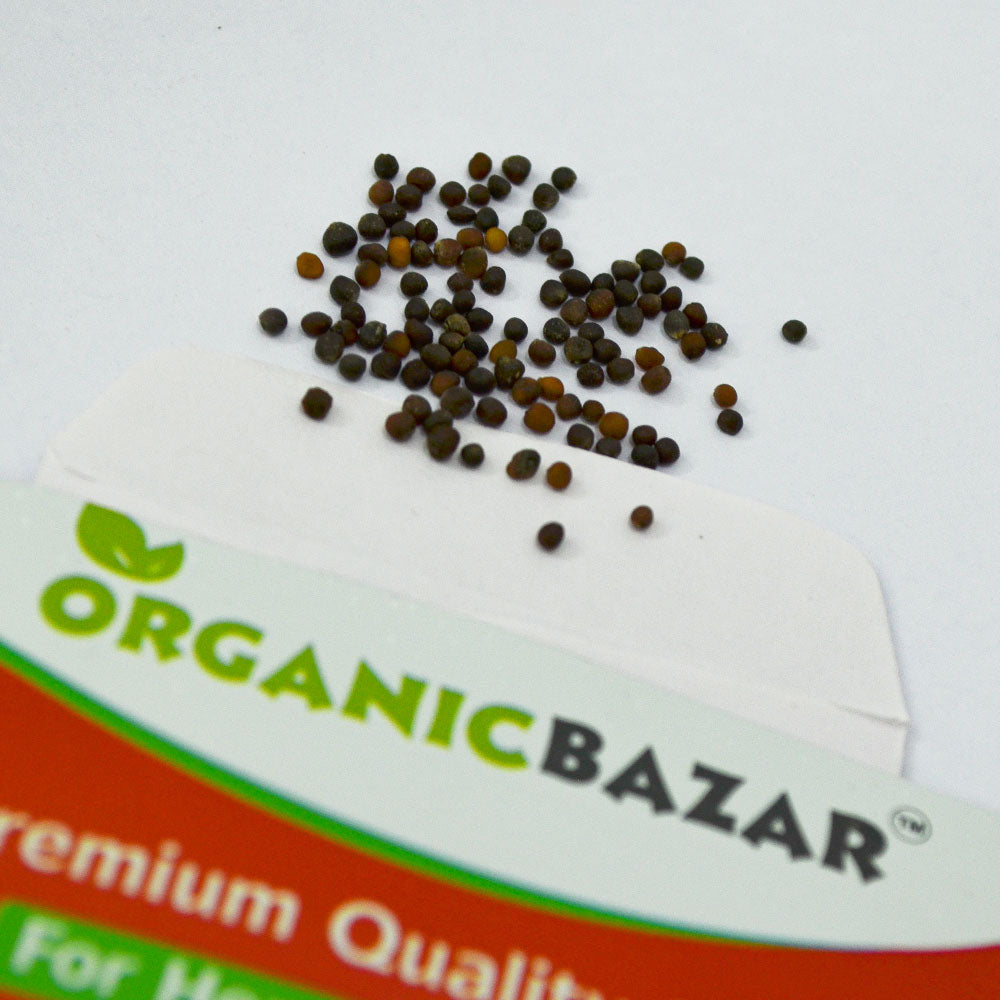 Buy Best quality Curly Kale Seeds Online