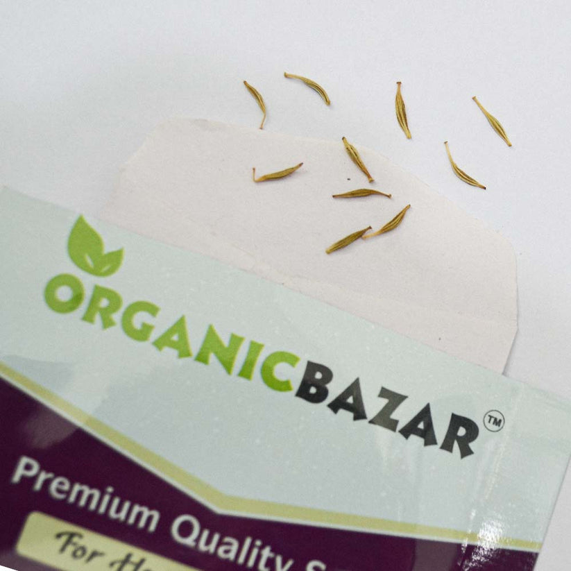 Buy Best Quality Gerbera Micro Mini Mixed Color Seeds