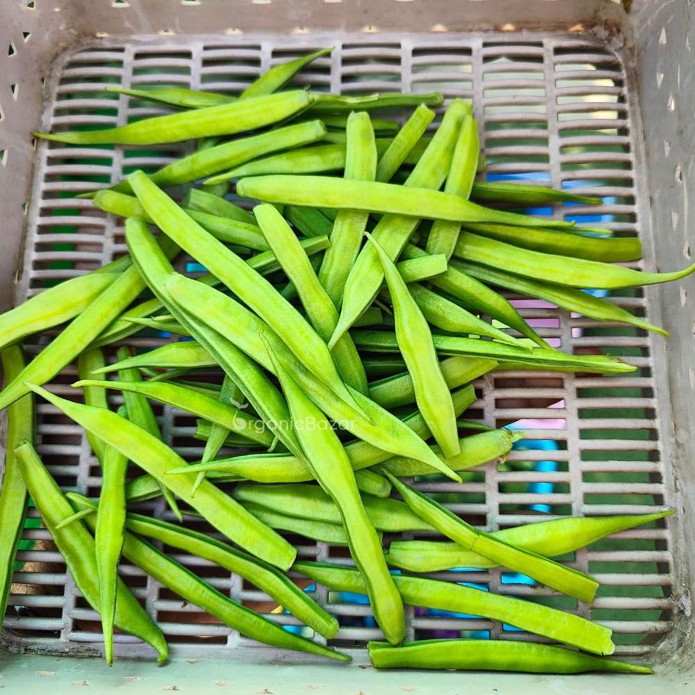 Buy Best Quality Gwar Phali (Cluster Beans) F1 Hybrid Seeds