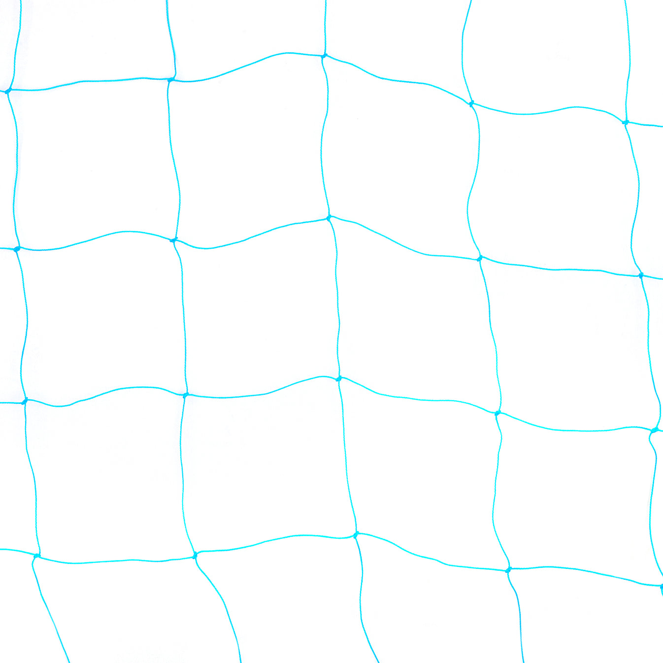Creeper Net for Plant Support – 1.5m x 3m | UV-Treated Blue Netting ...