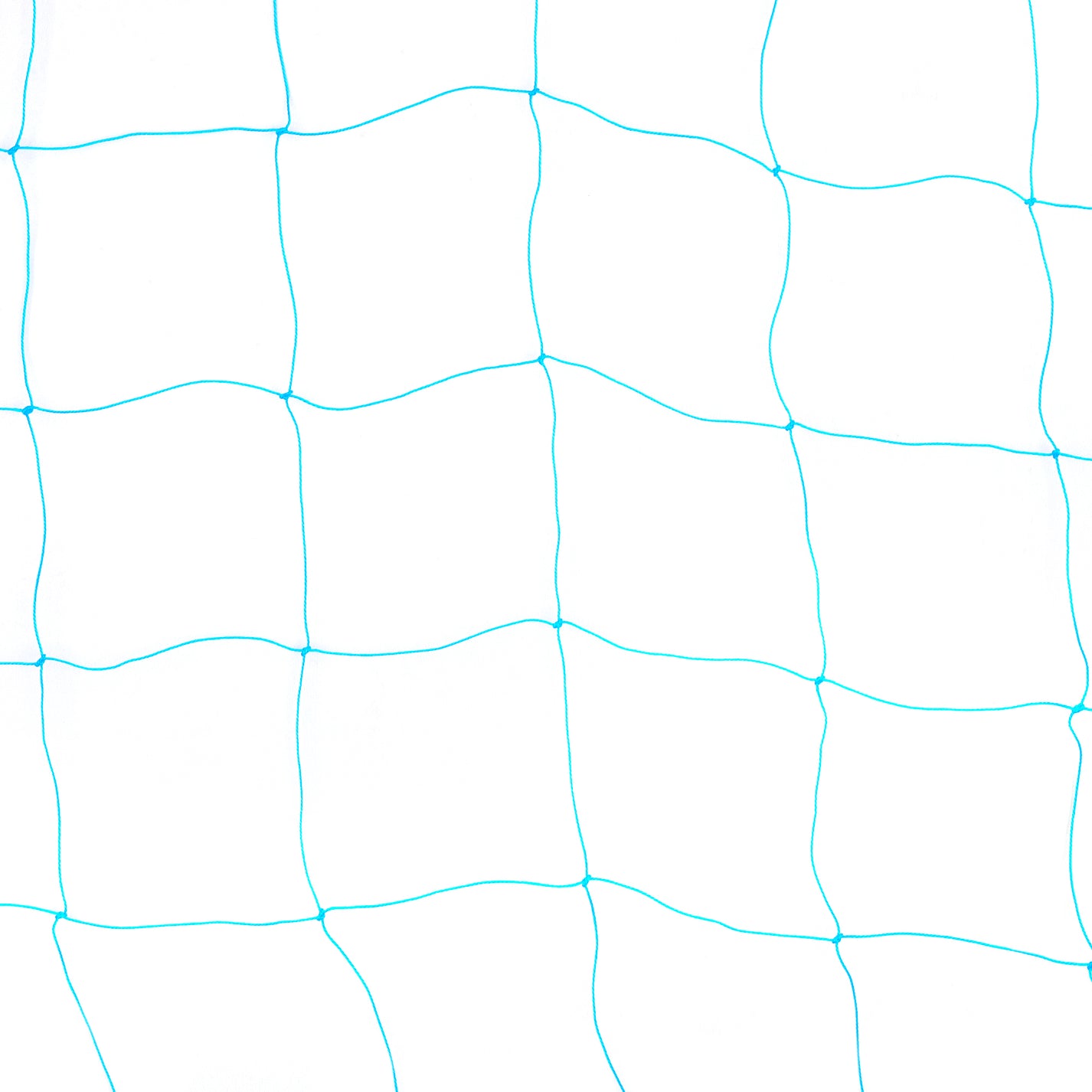Creeper Net for Plant Support – 1.5m x 3m | UV-Treated Blue Netting ...