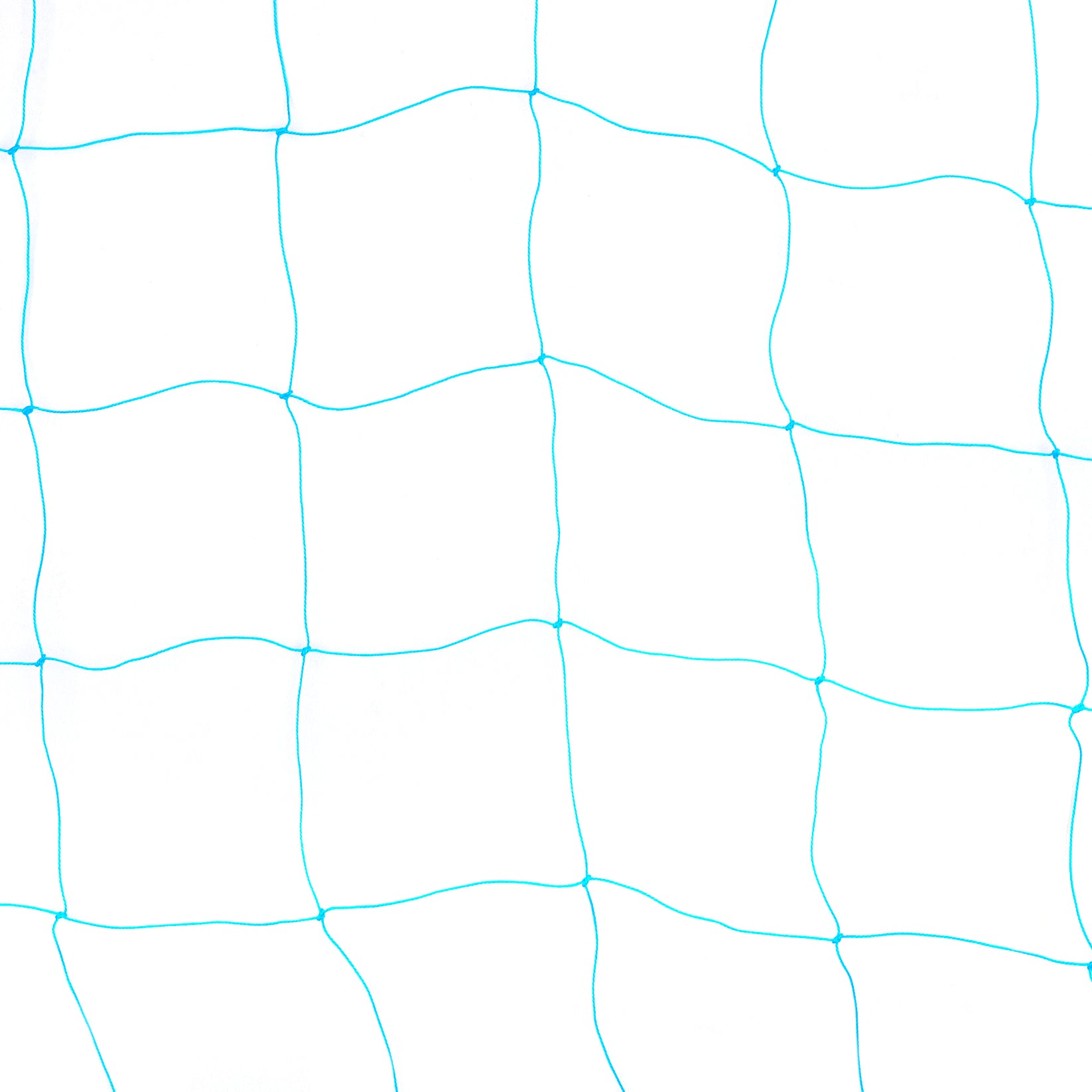 Creeper Net for Plant Support – 1.5m x 3m | UV-Treated Blue Netting ...