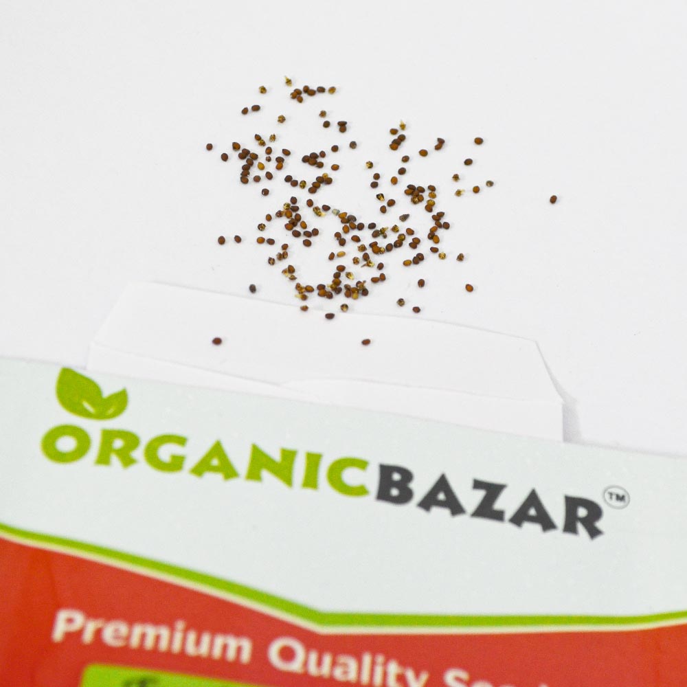 Buy Indian Holy Basil (Desi Tulsi ) Seeds