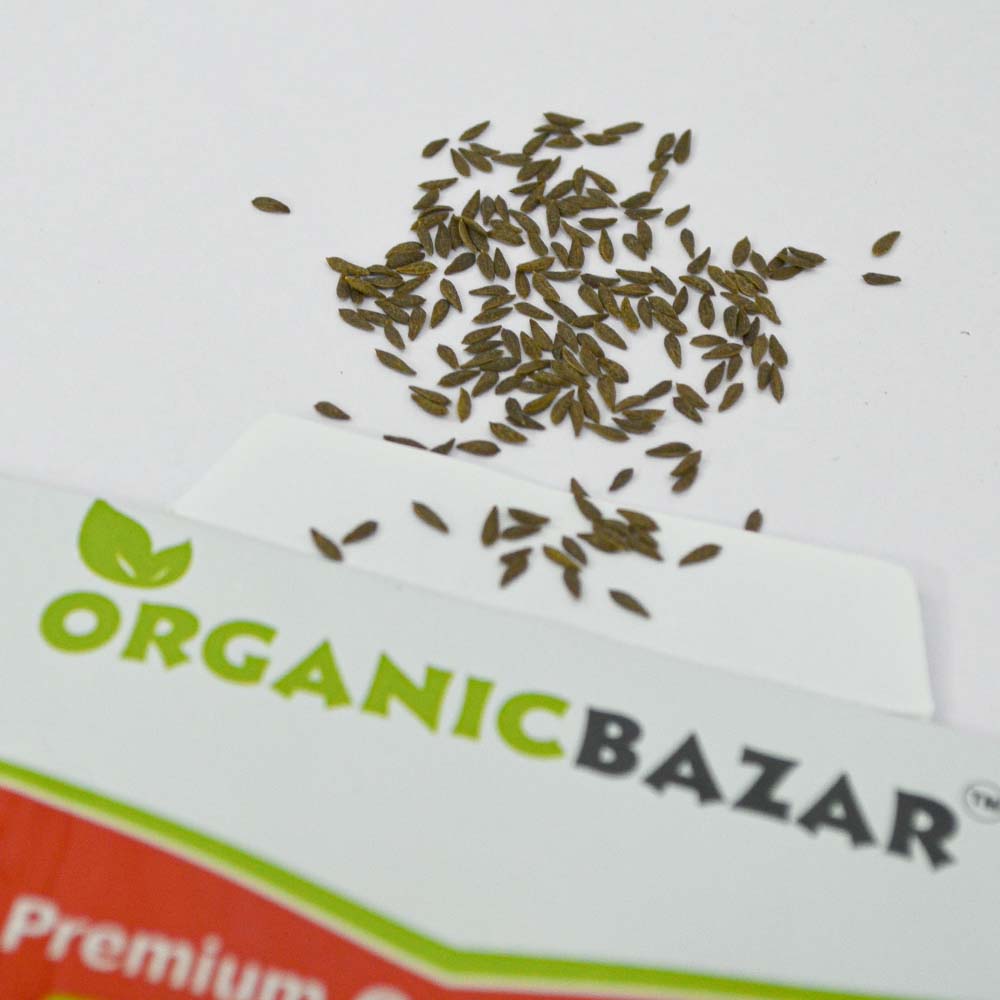 Buy best quality Lettuce Red Rose Seeds