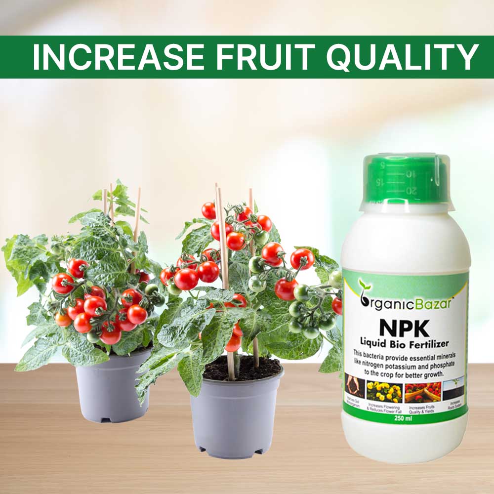 Bio NPK Fertilizer Liquid for Organic Gardening