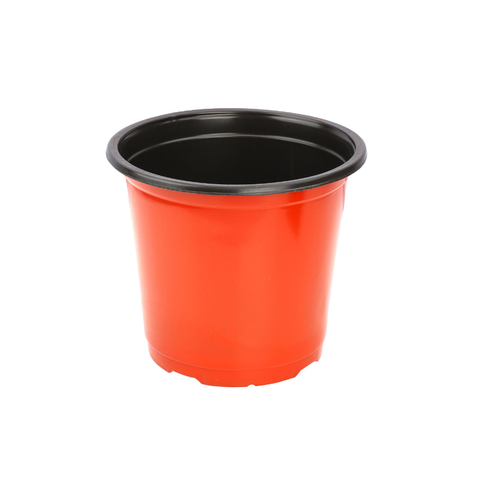 Thermoform Pot-6 Terracotta Color (Set of 20) (15cm)
