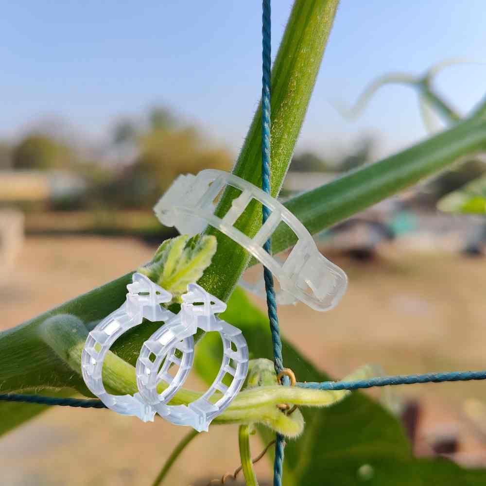 Plant Support Clips For Home Garden - Set of 50