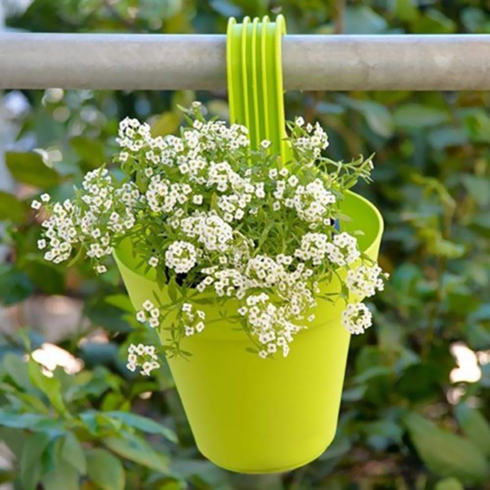 Plastic Hook Hanging Pot Multicolor Best Price Online