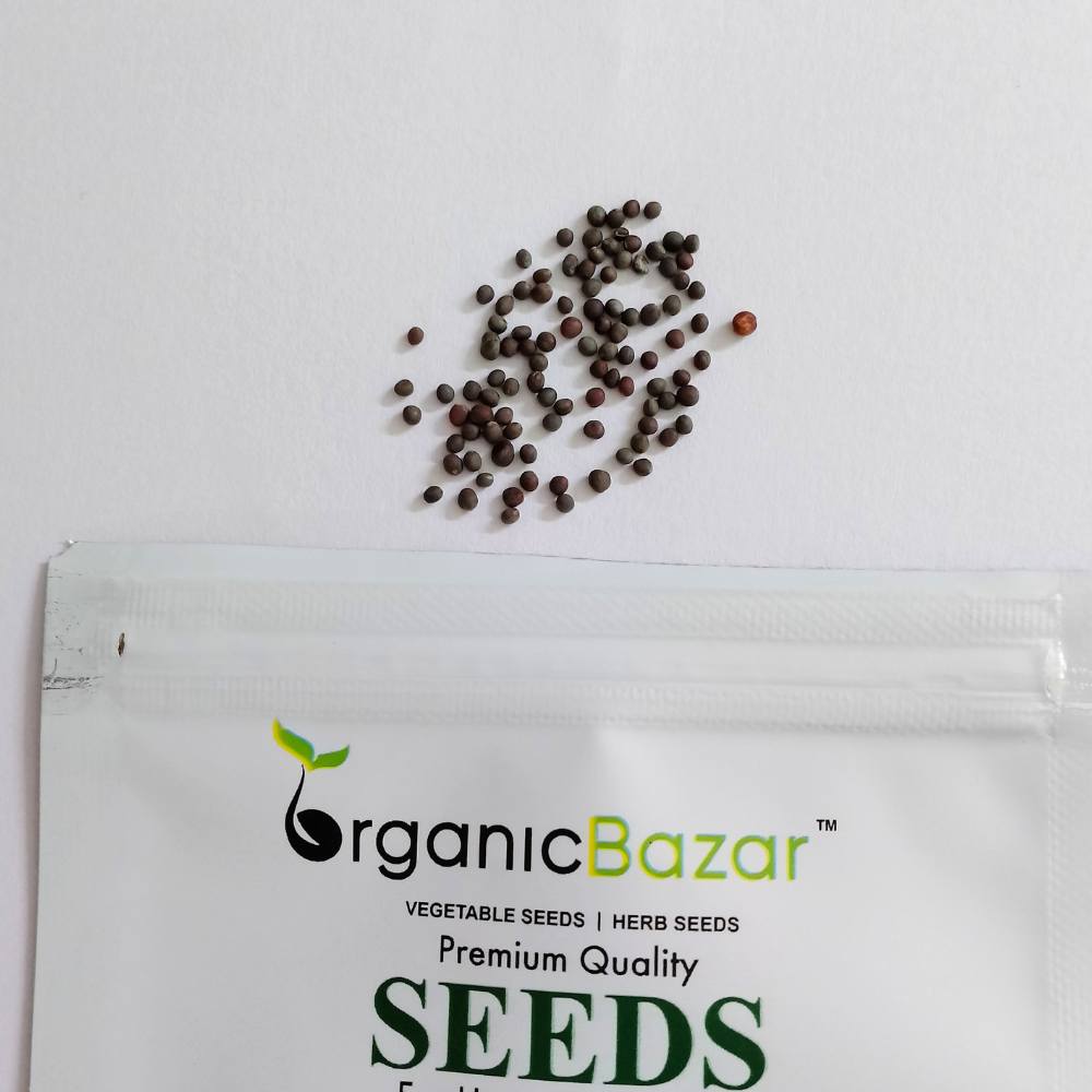 Buy Best Quality Purple Pak Choi F1 Hybrid Seeds Online - Organicbazar