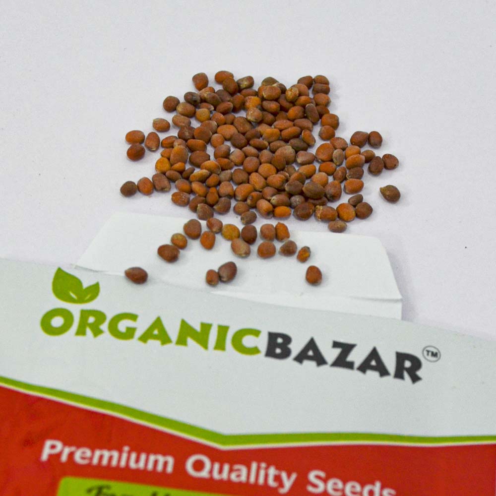 Buy Best Quality Radish Pusa Chetki Seeds Online