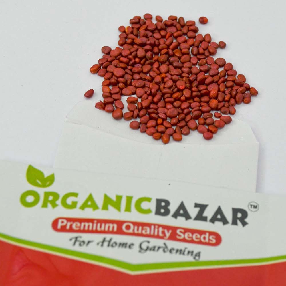 Radish (Mooli) Seeds White Long - 250 Seeds (मूली के बीज)