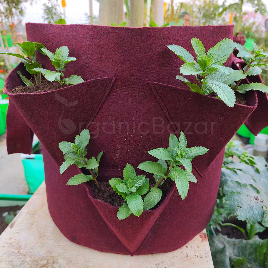 6-Pouch Side Pocket Grow Bag: The Ultimate Urban Farming Solution