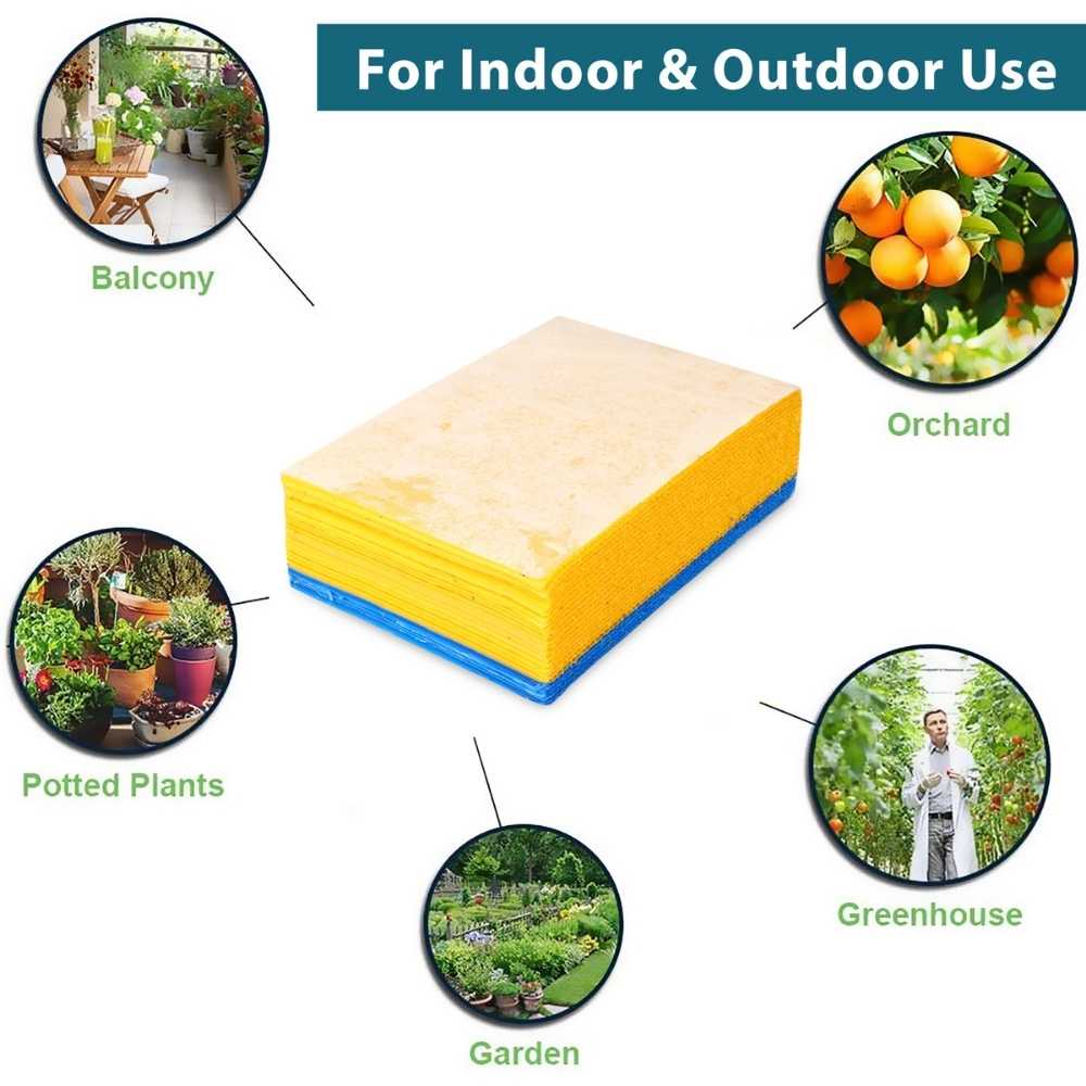 Sticky Trap for Insects (5 Blue + 20 Yellow)