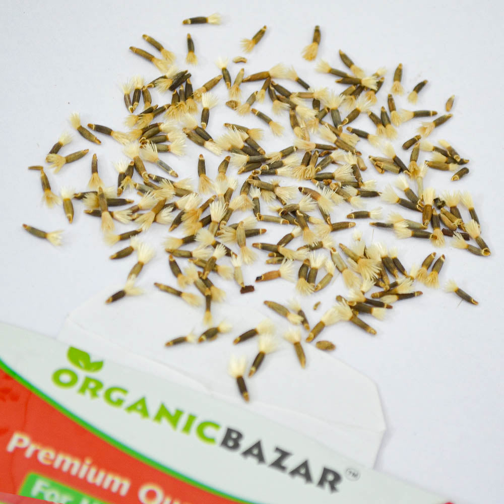 Buy Best Quality Sweet Sultan Seeds