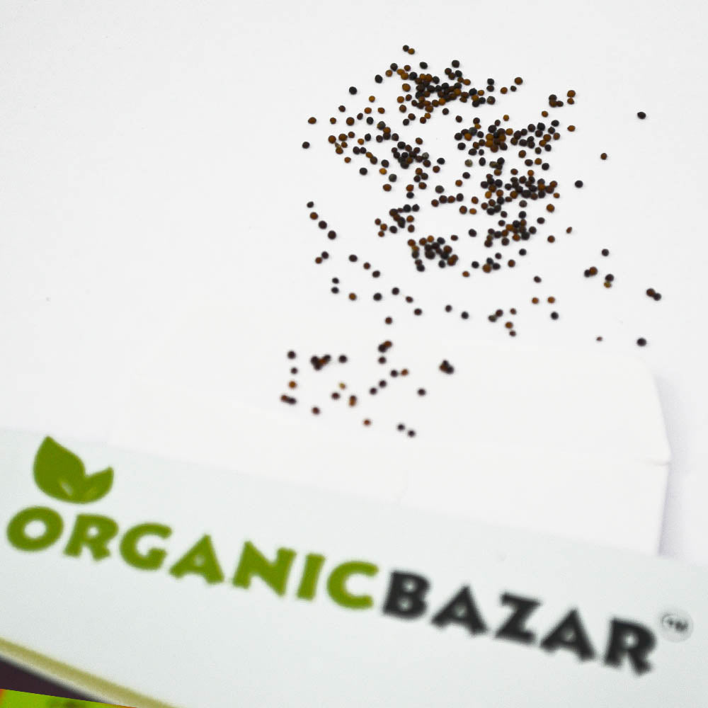 Buy Best Quality Thyme Seeds Online - Organicbazar