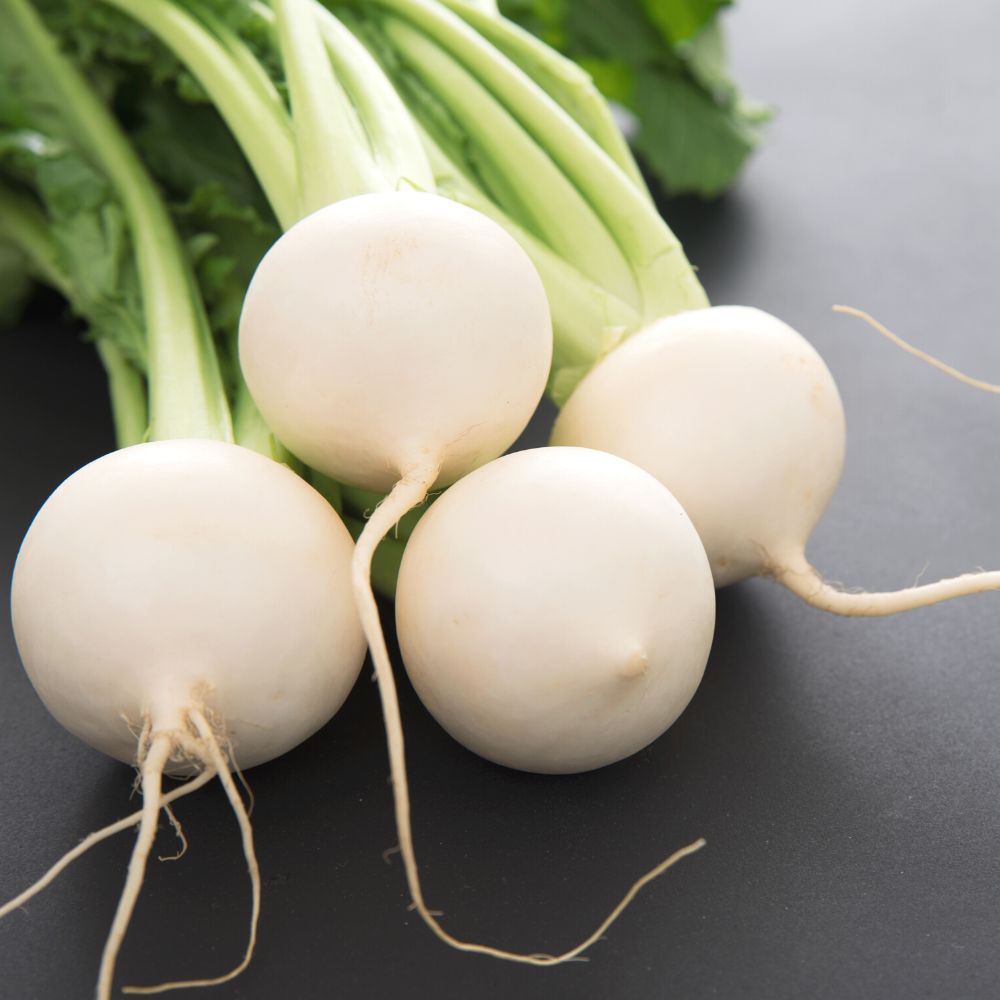White Turnip