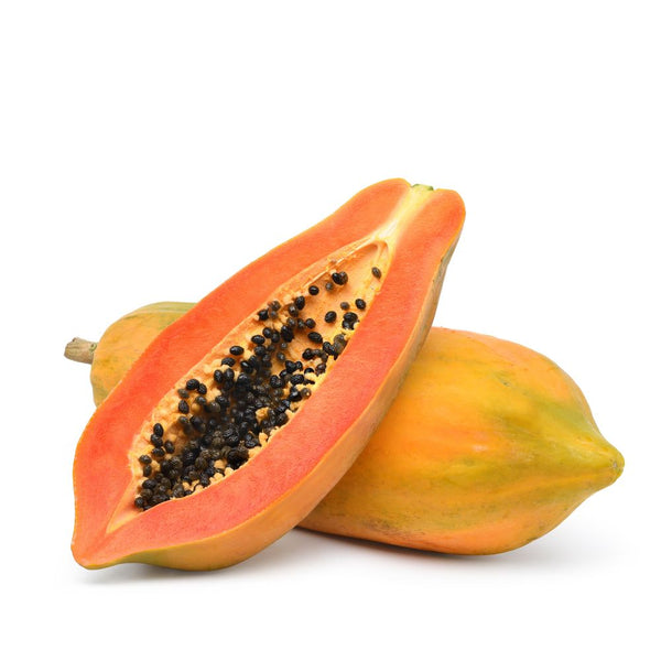 Buy Best Quality Red Long Papaya F1 Hybrid Seeds Online - Organicbazar