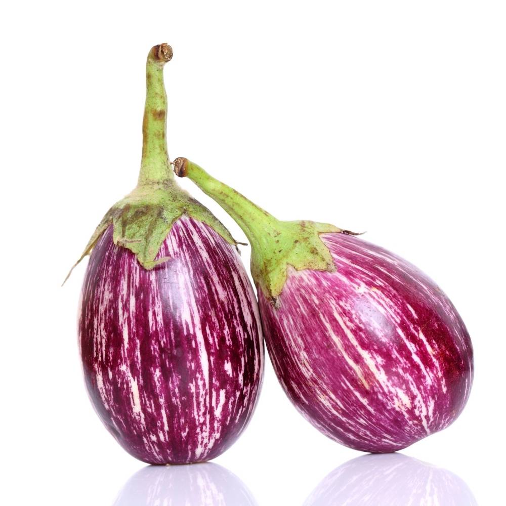 Buy Best Quality Brinjal Oval Purple With White Strips Hybrid Seeds