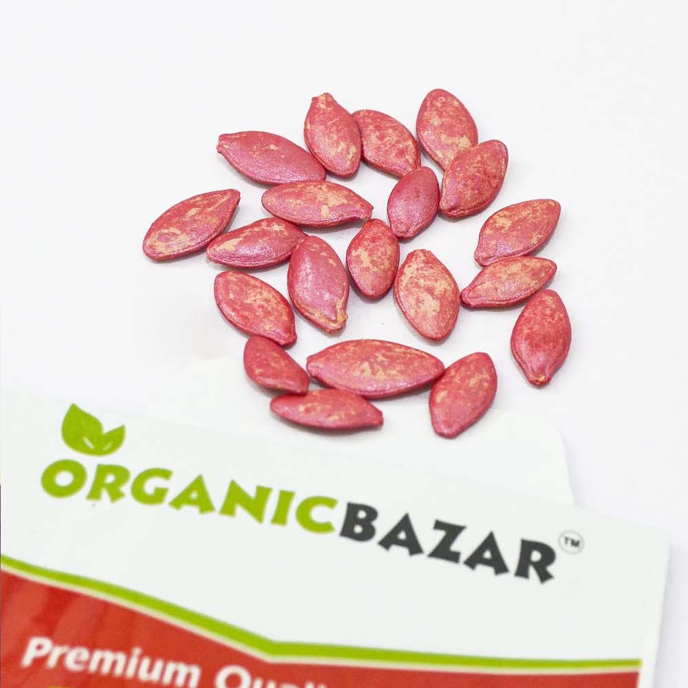 Best quality Zucchini (Light Green) Seeds – Organicbazar