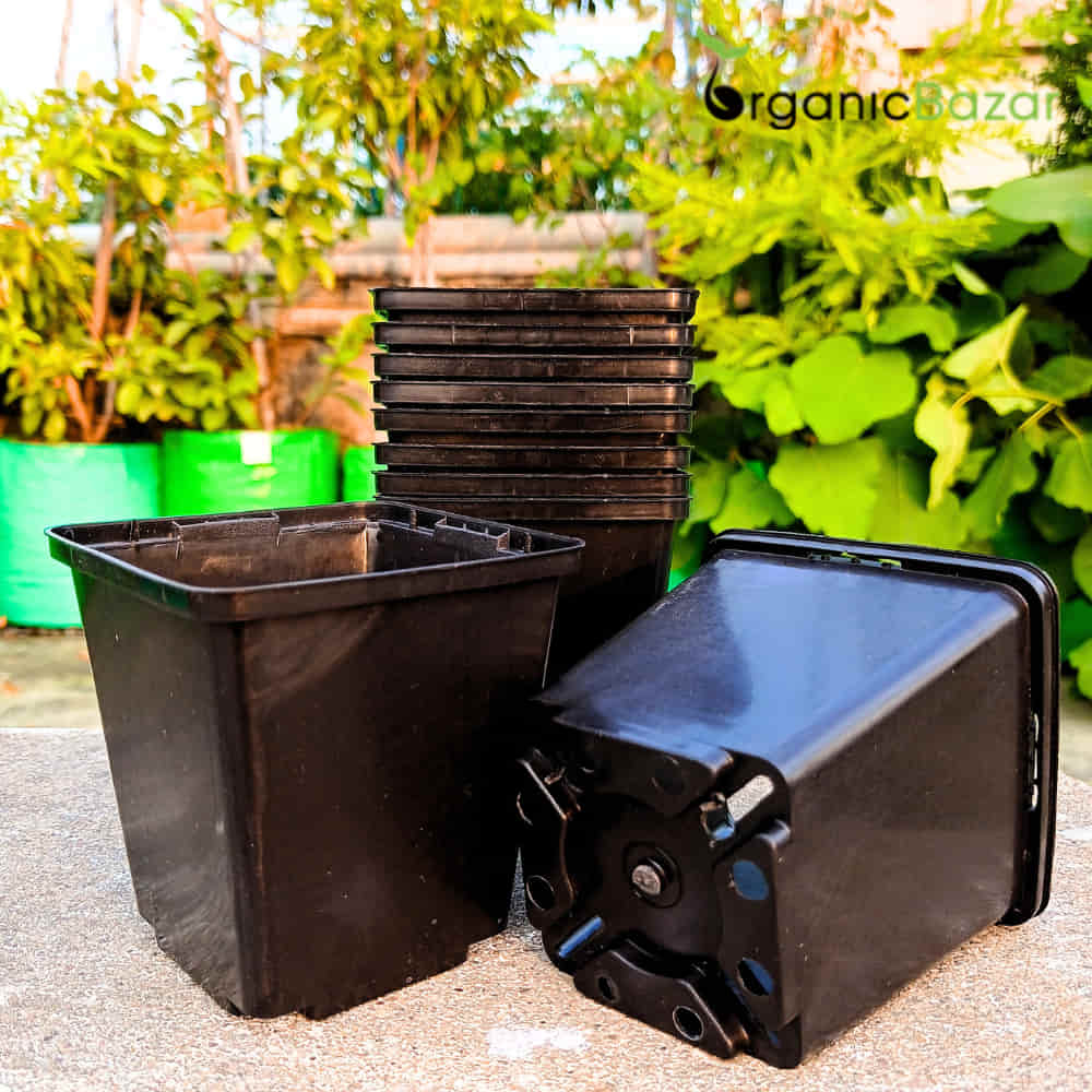 Square Nursery Pots for Seedlings for Gardening - Organic Bazar