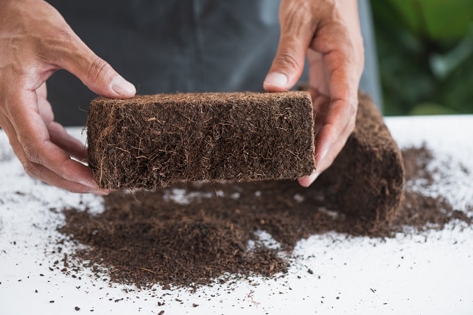 Cocopeat Block 500 g - Expands Upto 3 Litres Of Powder