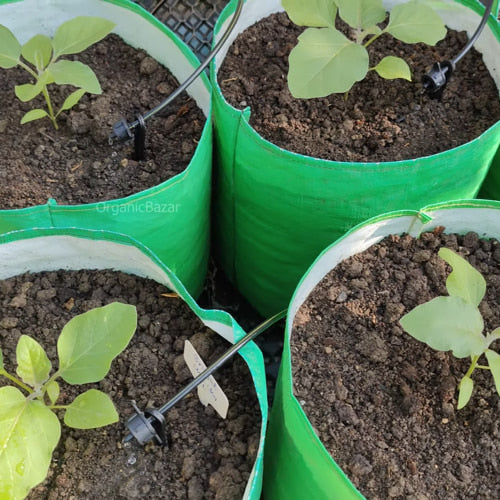 Drip Irrigation Kit for 30 Plants : Efficient and Easy Gardening