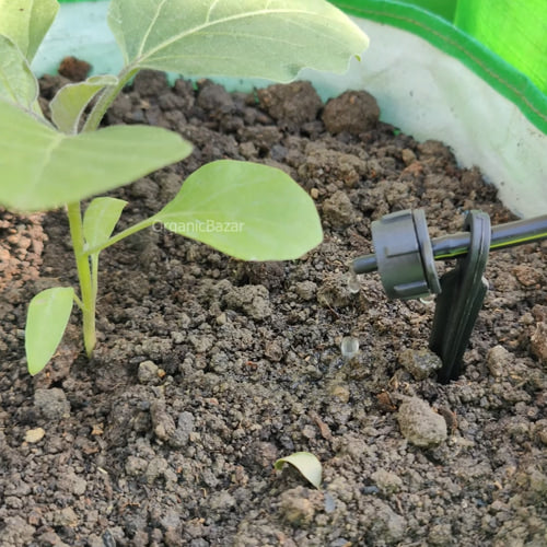 Drip Irrigation Kit for 30 Plants : Efficient and Easy Gardening