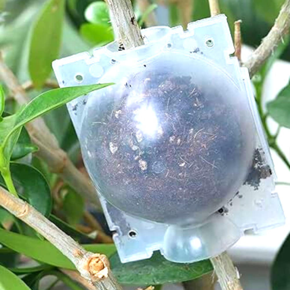 Rooting Ball Tools for Plant Propagation (Set of 5)